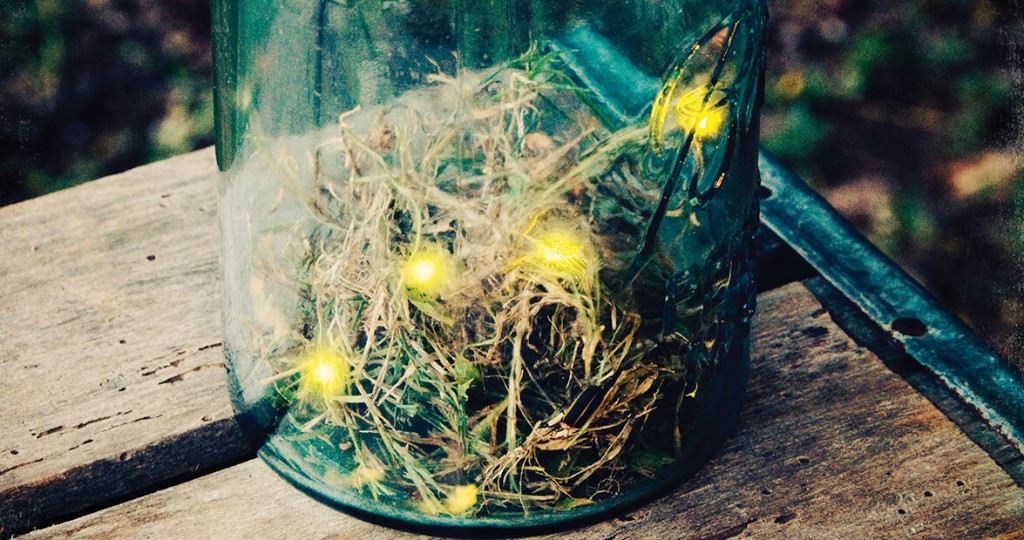 Searching for the Elusive Flicker of Blue Ghost Fireflies | Our State