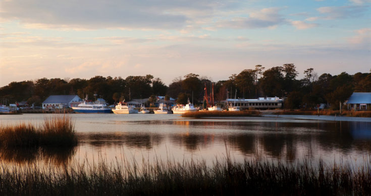 Calabash | Our State