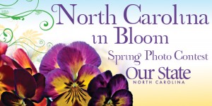Spring Photo Contest Winner's Gallery | Our State