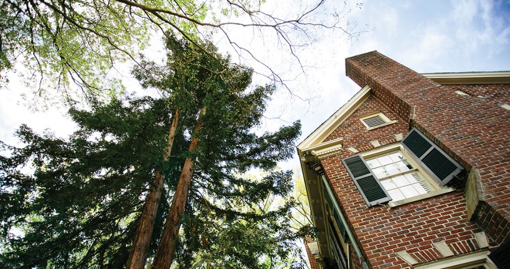 Wilson Redwoods | Our State