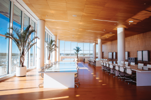 Raleigh's 50-Foot Librarian: Hunt Library | Our State