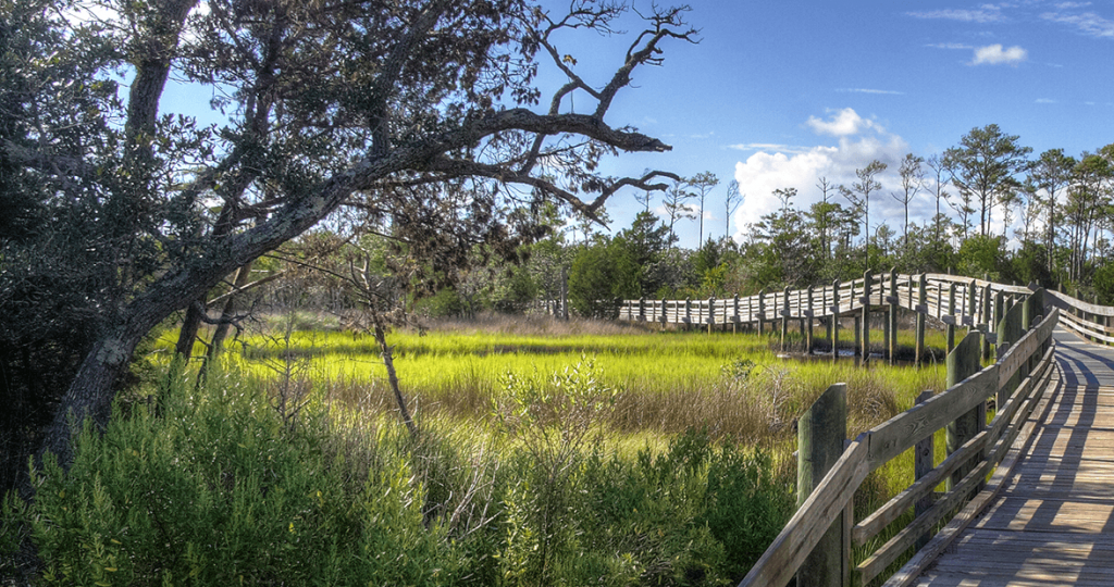 Coastal Strolls | Our State
