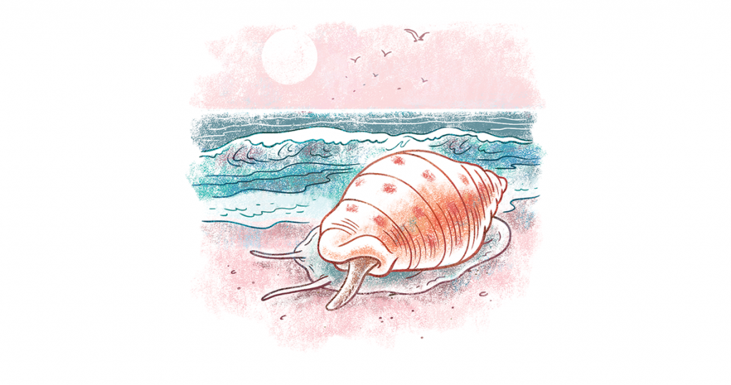 The Origin of a Symbol: The Scotch Bonnet | Our State