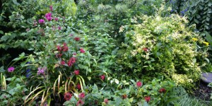 5 Tips to Create a Natural Landscape This Spring | Our State