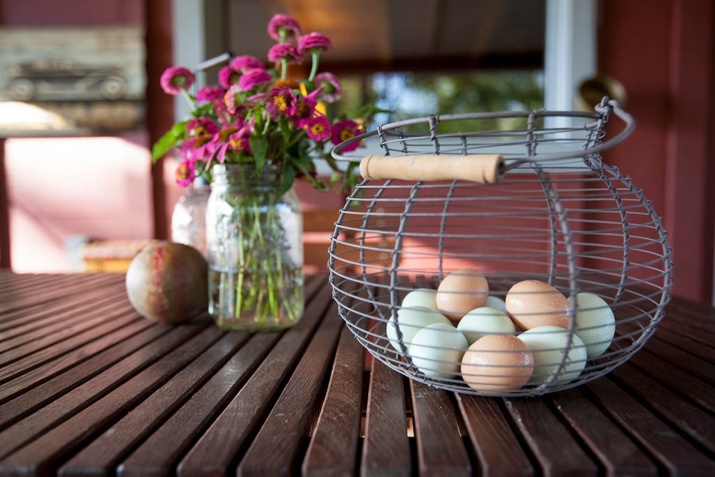 Homeplace: Fodderstack Farm | Our State