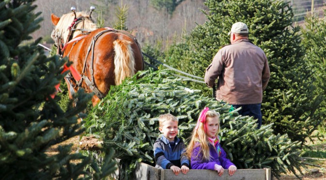 High Country Holiday Travel Handbook | Our State