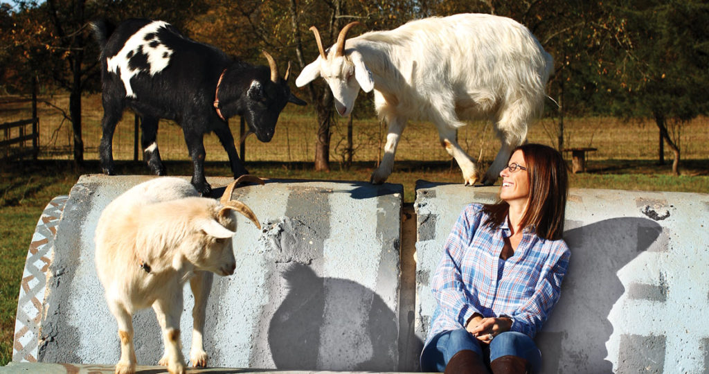 Statesville's Rescue Ranch Takes All Comers | Our State