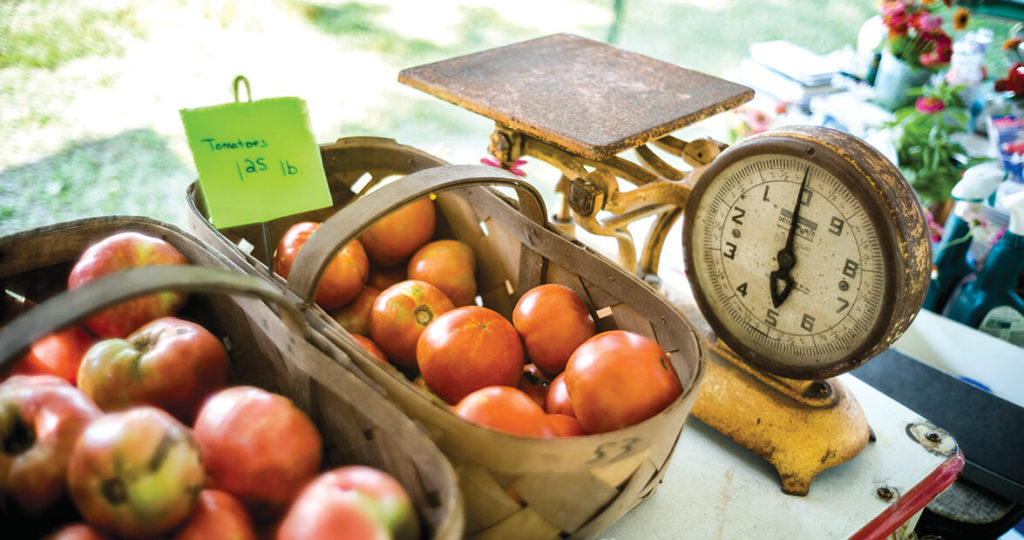 The Curb Appeal of Roadside Produce Stands | Our State