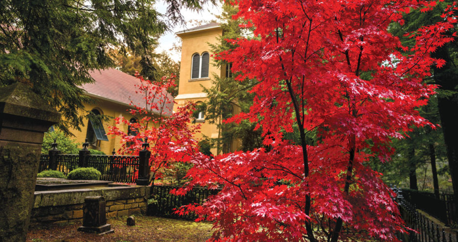 Photo Essay: Fall in Flat Rock | Our State