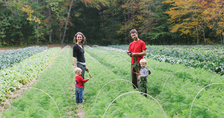 'A Way of Life' Farm in Sunshine, NC Lives Up to Its Name | Our State