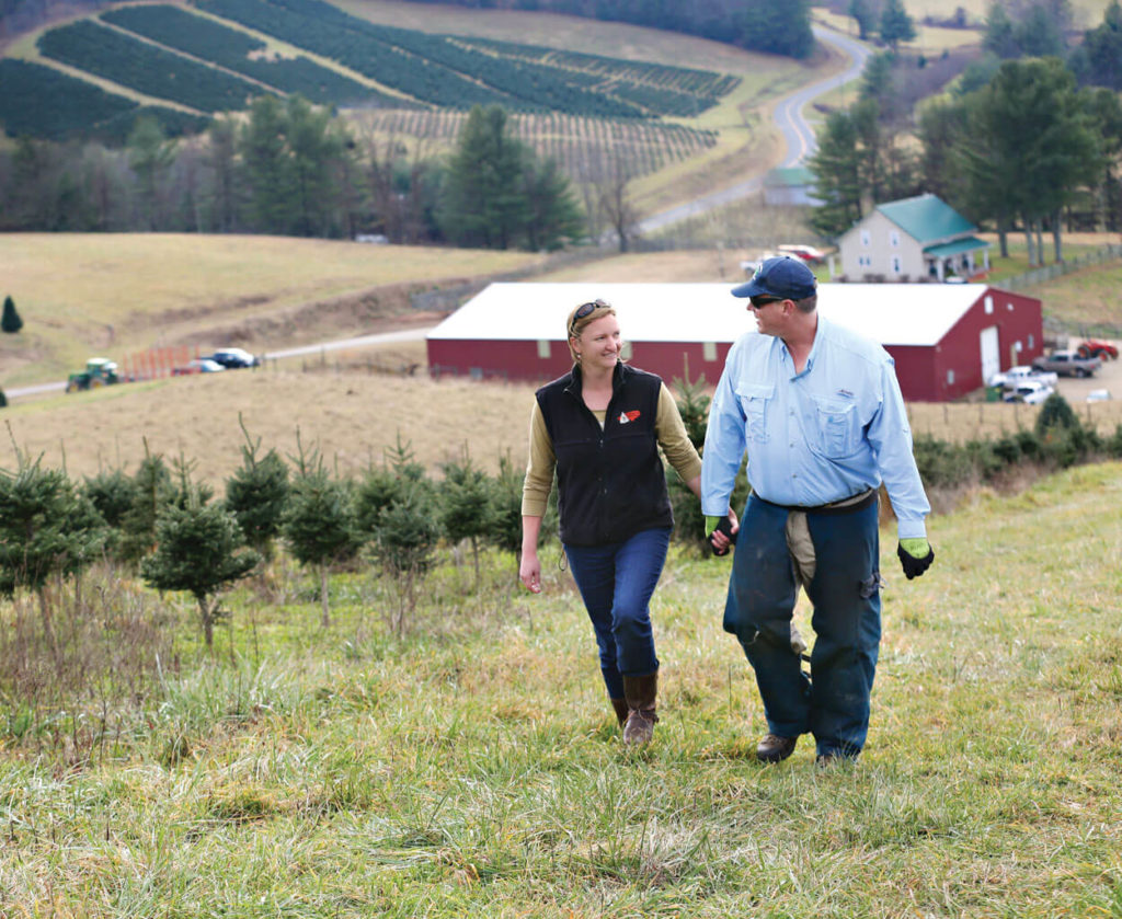 In Pursuit of the Perfect Pine: 5 North Carolina Christmas Tree Farms ...
