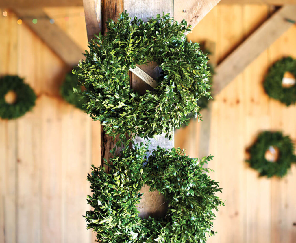 In Pursuit of the Perfect Pine: 5 North Carolina Christmas Tree Farms ...