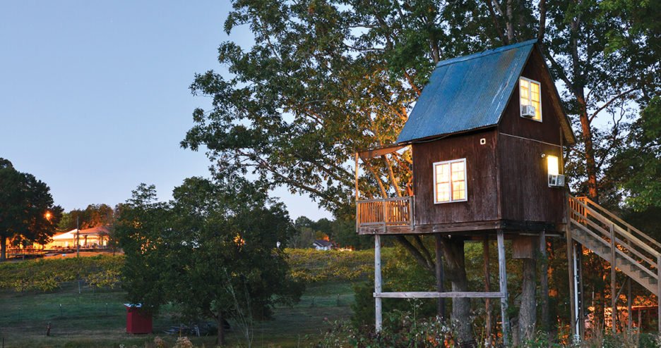 Enjoy Wine With a View at Treehouse Vineyards in Monroe | Our State