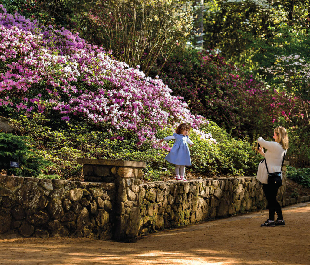 Spring in North Carolina Brings an Abundance of Azaleas | Our State