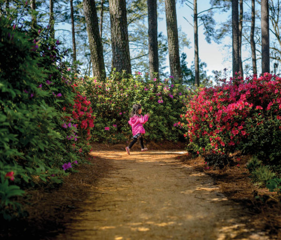 Spring in North Carolina Brings an Abundance of Azaleas | Our State