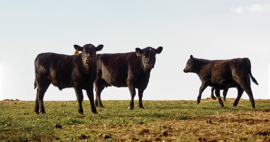 Family Farms that Stand the Test of Time | Our State