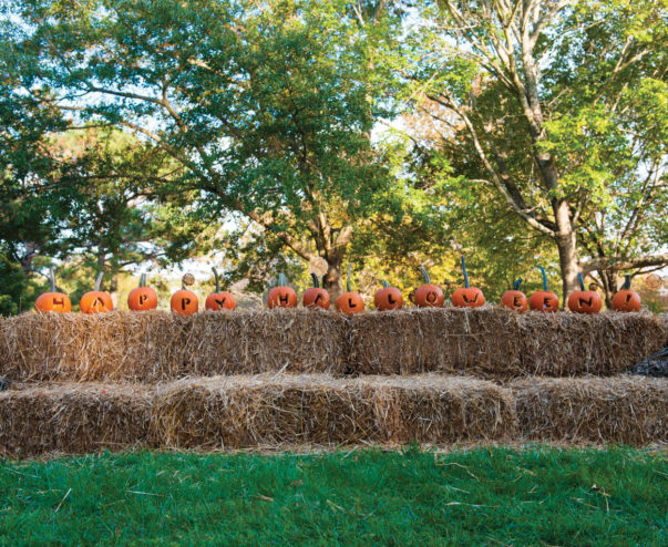 Pumpkins, Pride of the Patch | Our State