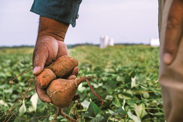 Jason Brown's Journey From Football to Farming | Our State