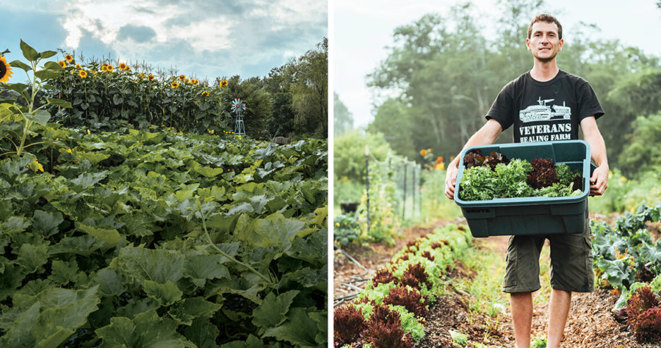 Beyond the Call of Duty at Veterans Healing Farm | Our State