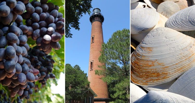 6 Ways to Explore Currituck County During the Off-Season | Our State