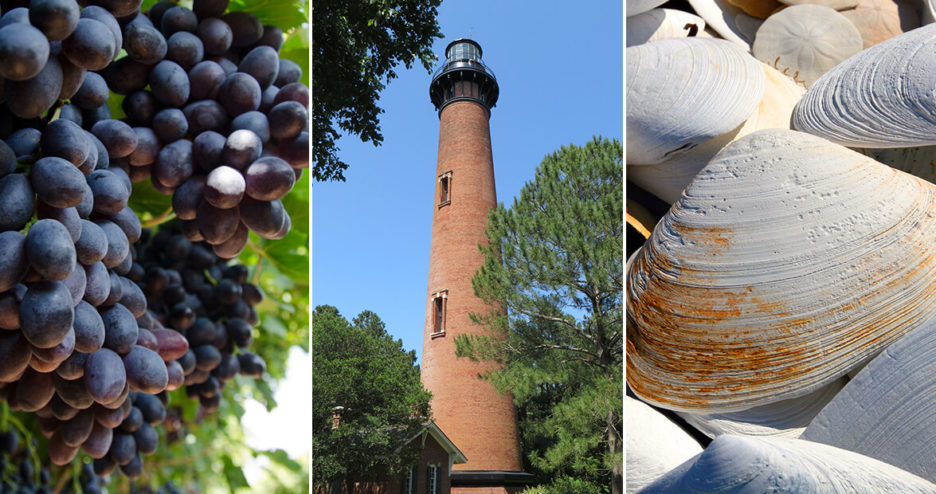 6 Ways to Explore Currituck County During the Off-Season | Our State