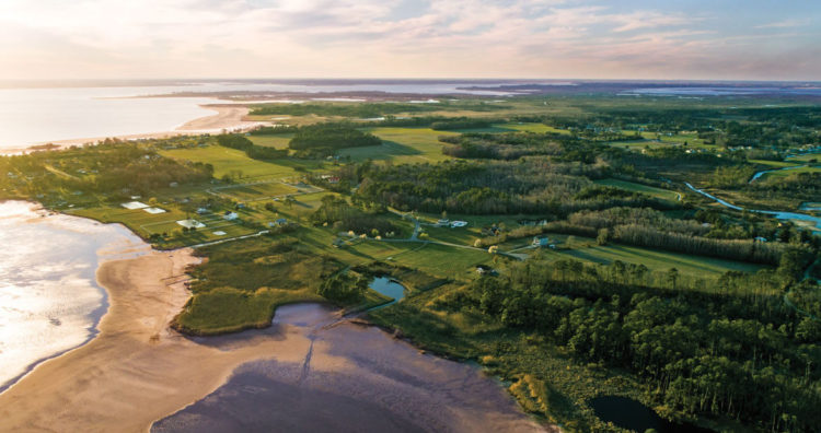 Remote or Knott | Our State