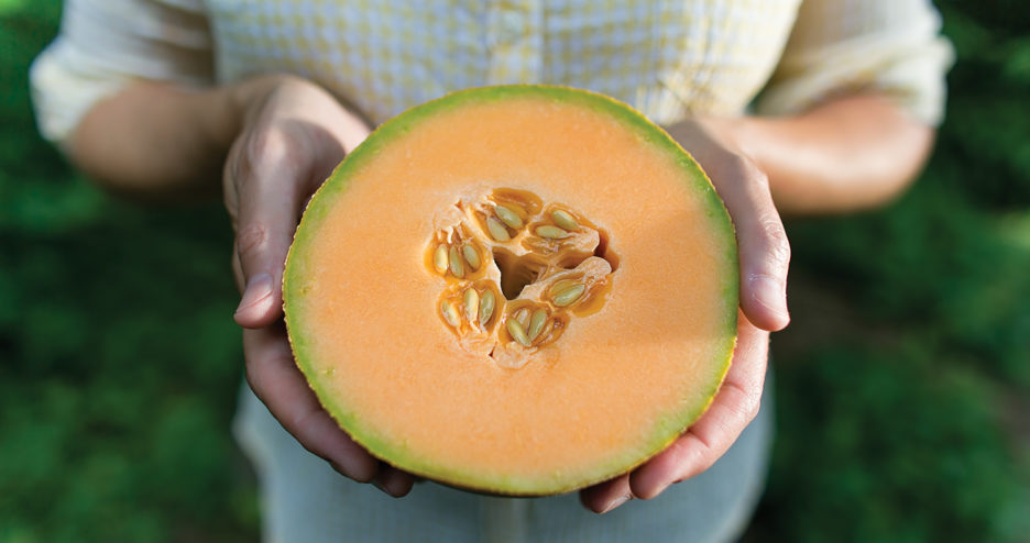 One Melon at a Time | Our State
