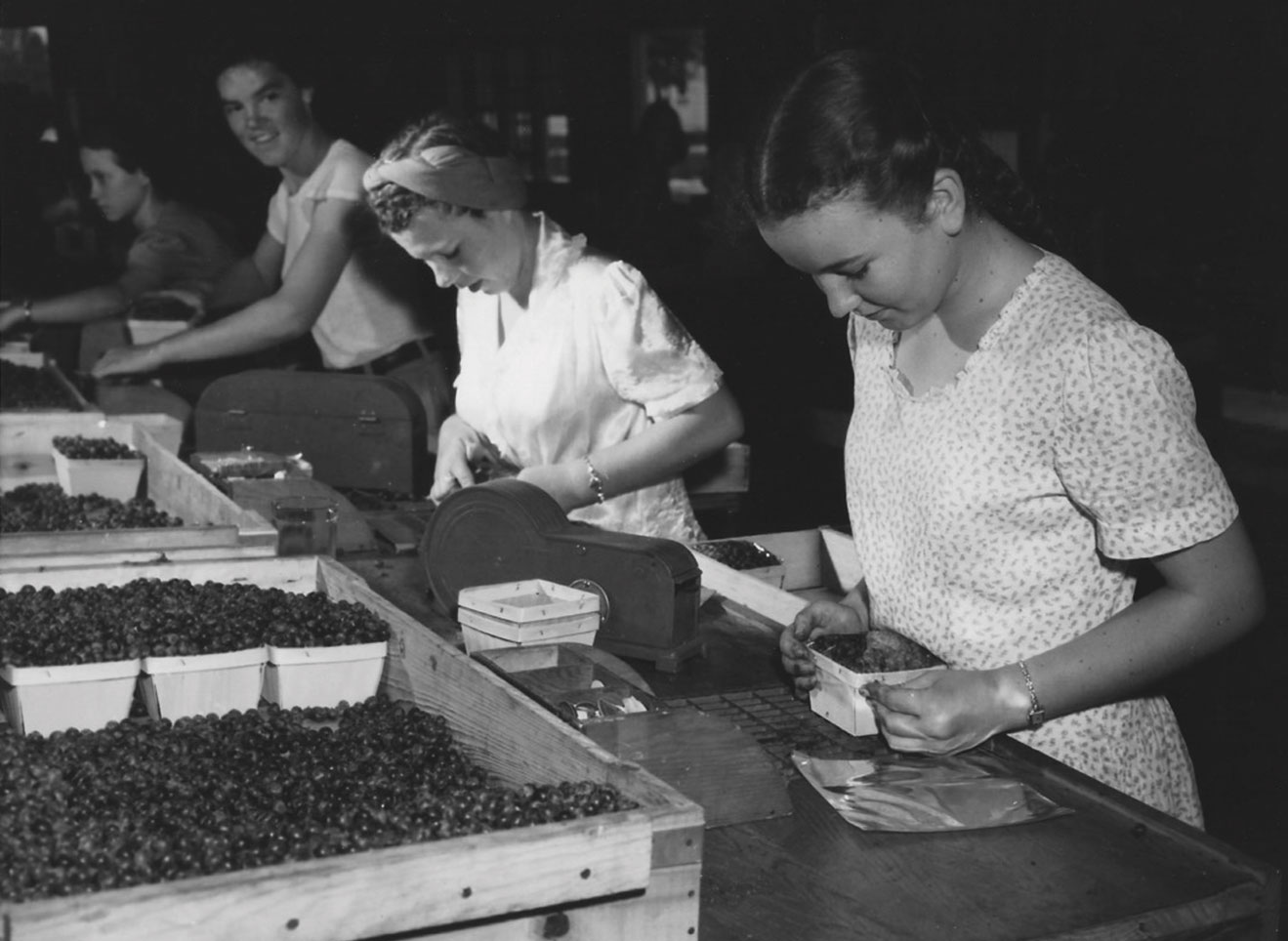 Blueberry Country in Pender County | Our State