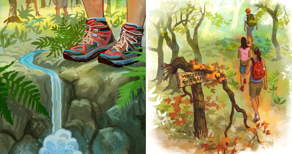 Ramblin’ Man: Chasing Waterfalls | Our State