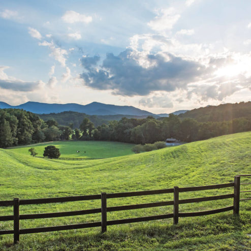 Tryon: Horse Country | Our State