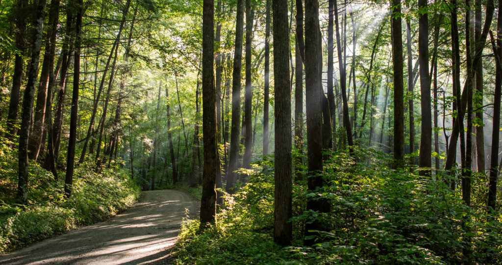 The Hidden Road | Our State