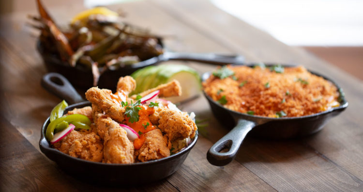 High Country Bounty Hunter | Our State