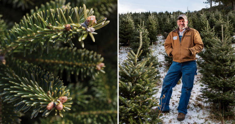 Mr. Smith's Tree Goes to Washington | Our State