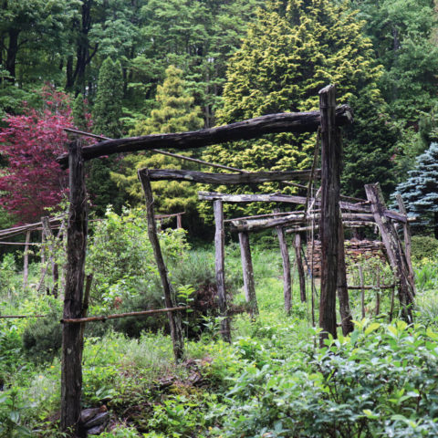 The Life-Changing Magic of a Mountain Medicine Man | Our State