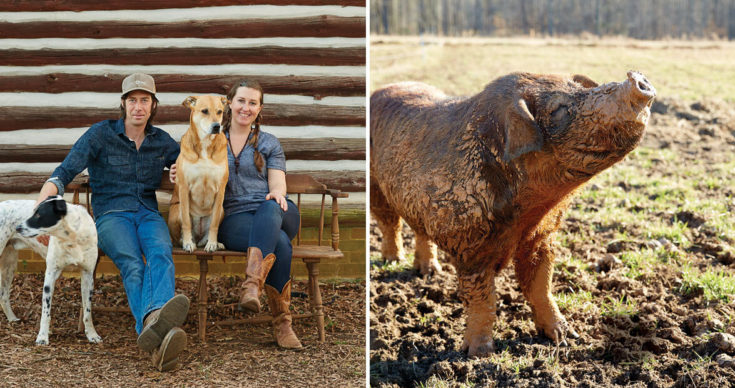 Hog Wild in Rockingham County | Our State