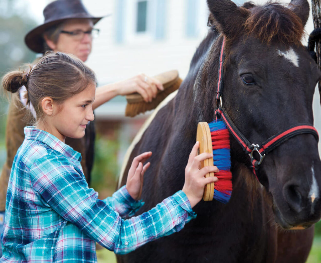 Rolling Ridge Riding in Reidsville | Our State