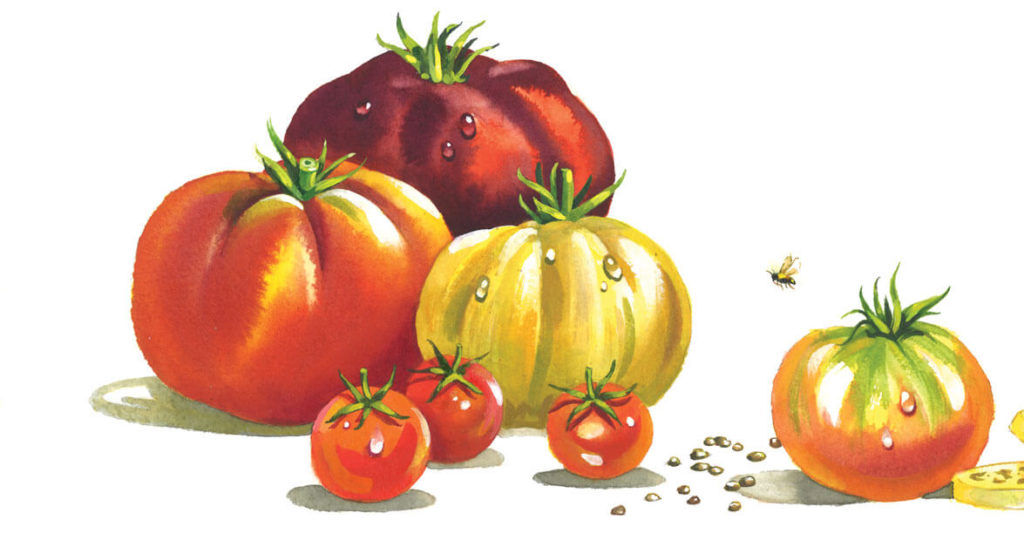 The Must-Eat ’Maters | Our State