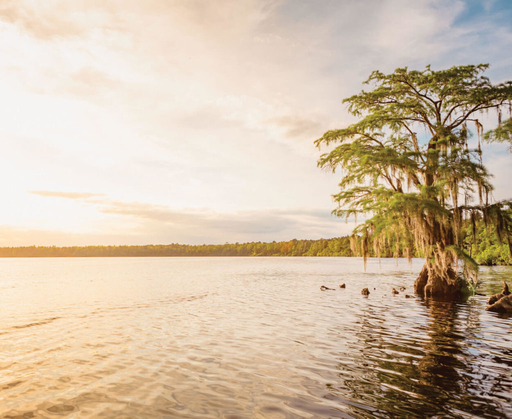 The Mystery of Carolina Bays | Our State