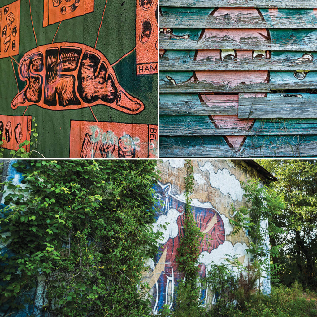 Color Amid the Kudzu | Our State