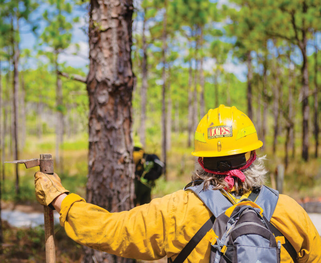Prescribed Burns Bring New Life | Our State