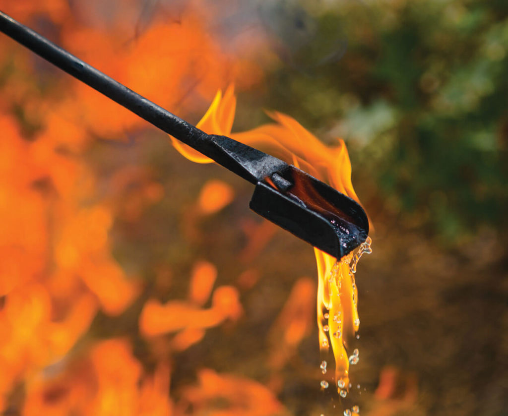 Prescribed Burns Bring New Life | Our State