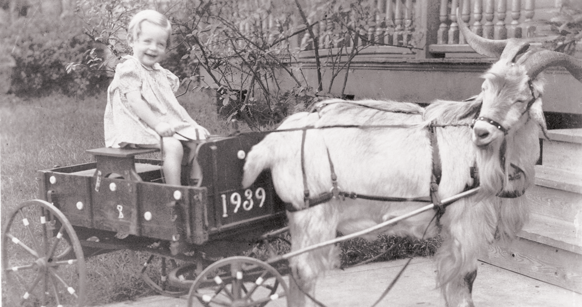 If You Give a Kid a Goat Cart | Our State