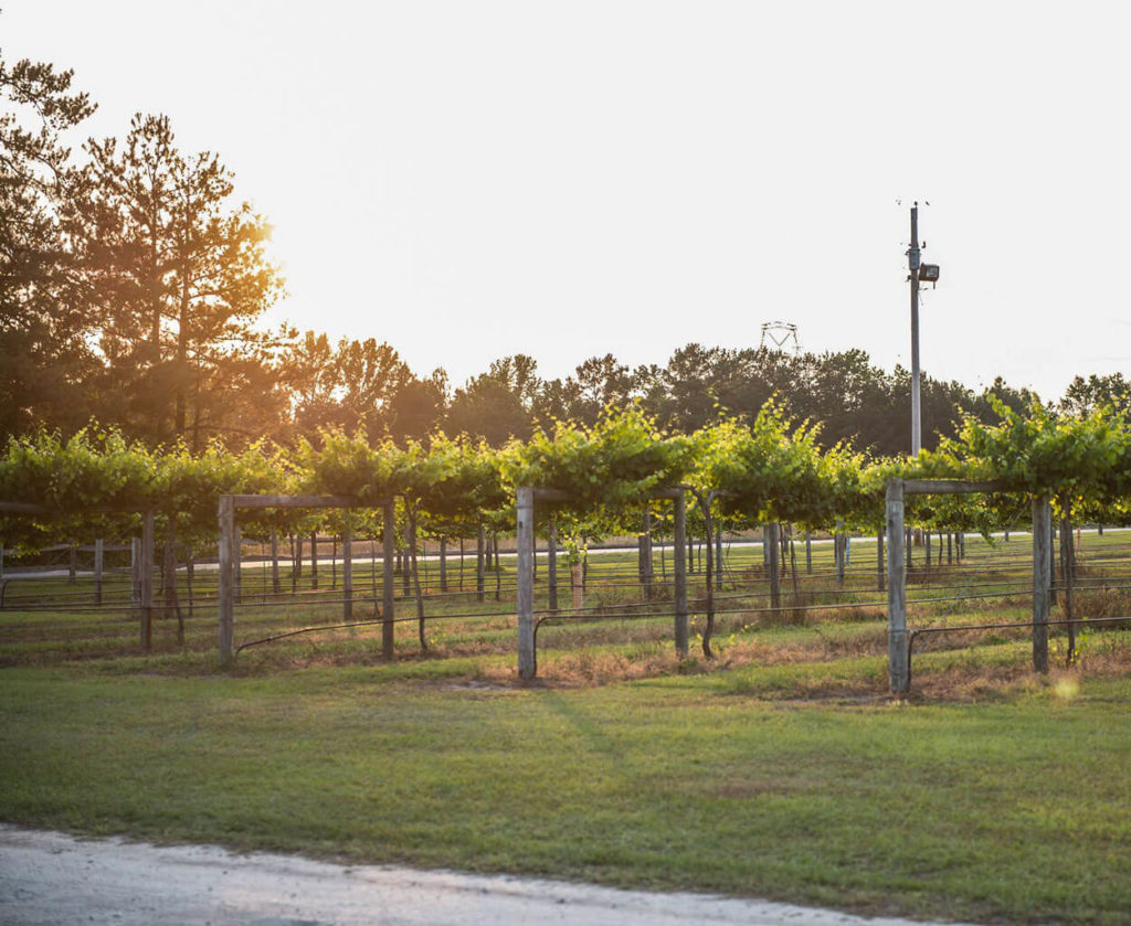 5 Reasons to Spend a Day in Laurinburg, NC | Our State