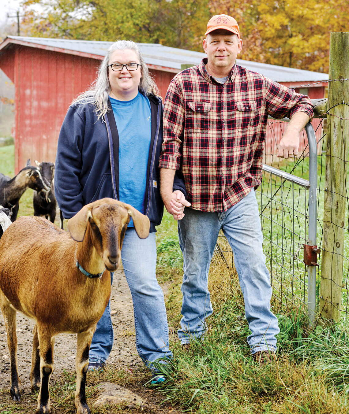 NC Cheese Trail :: News