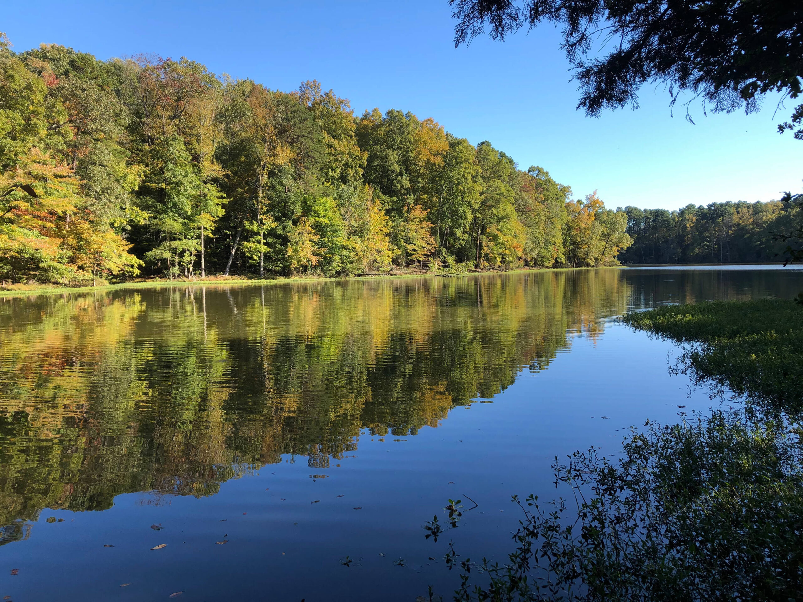 From Pints to Pickleball in the Triad | Our State