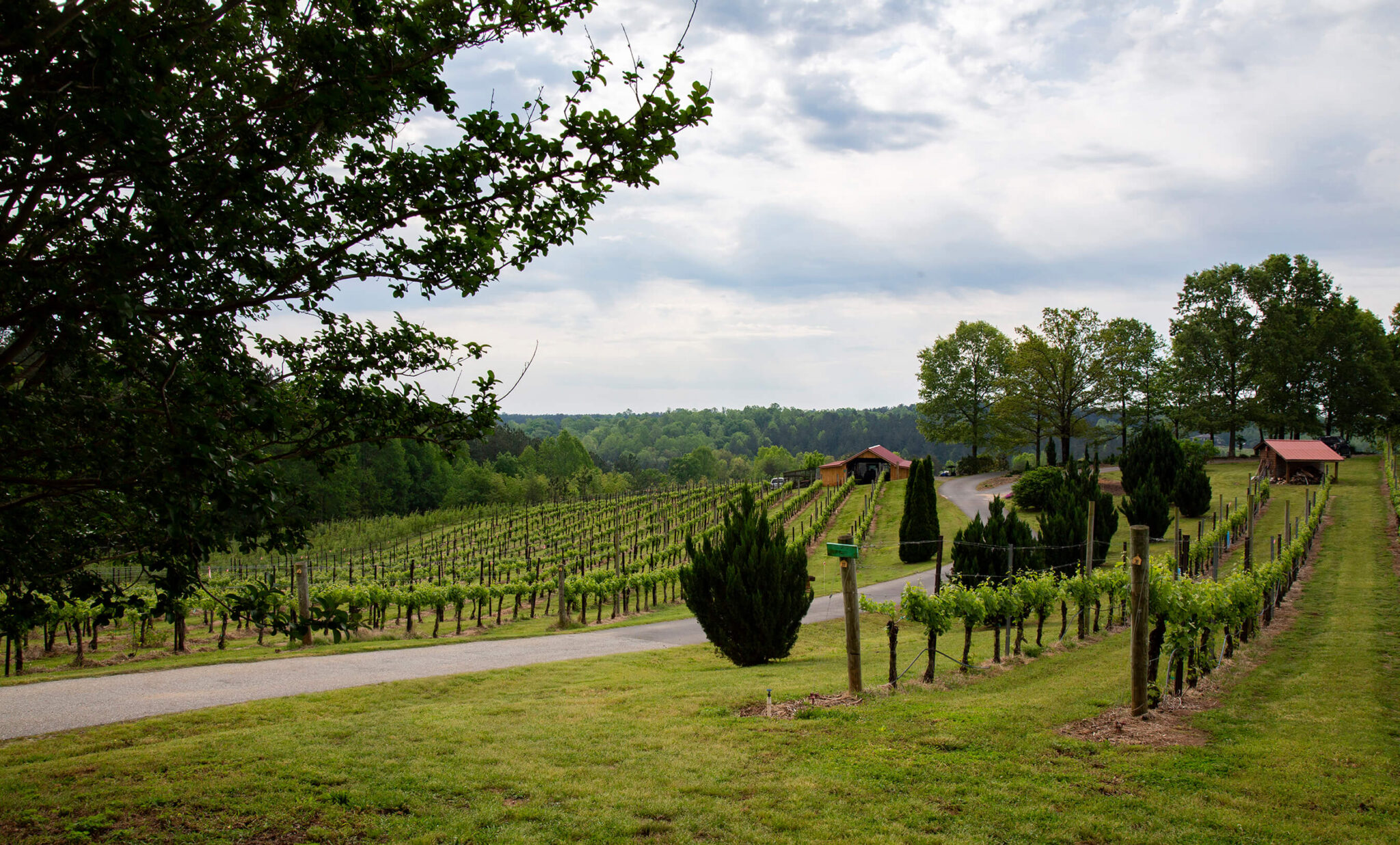 The North Carolina Winery Guide: A Glass of Wine with a View | Our State