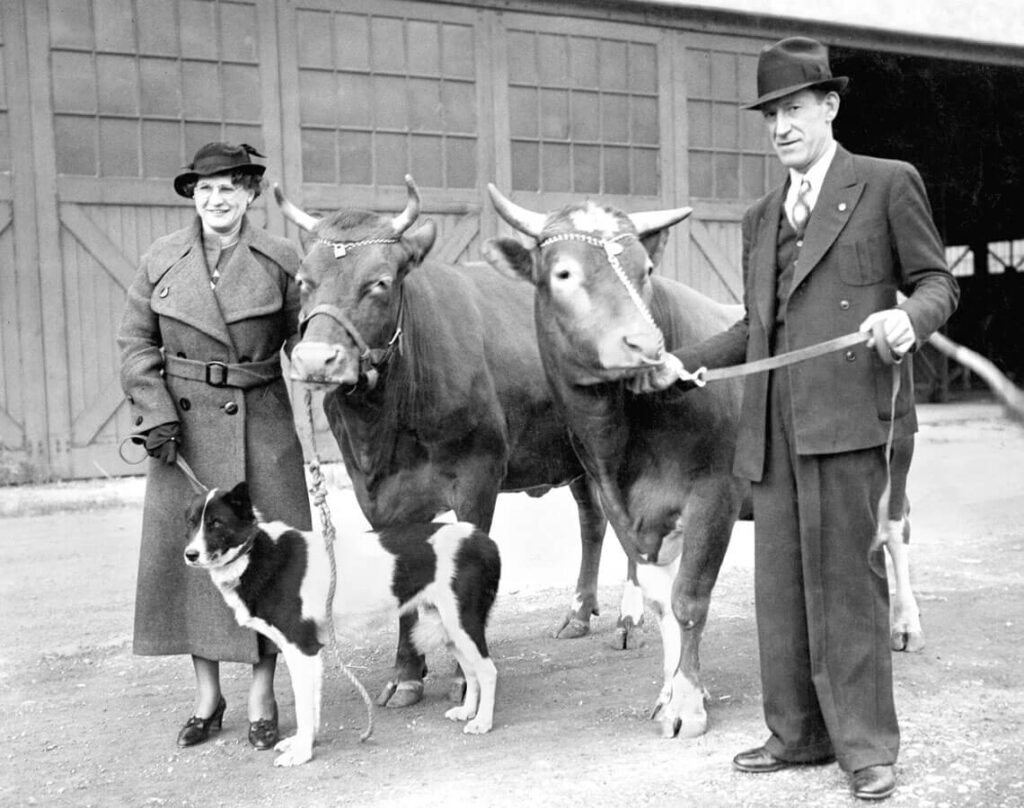 The Land of Wool & Wine | Our State