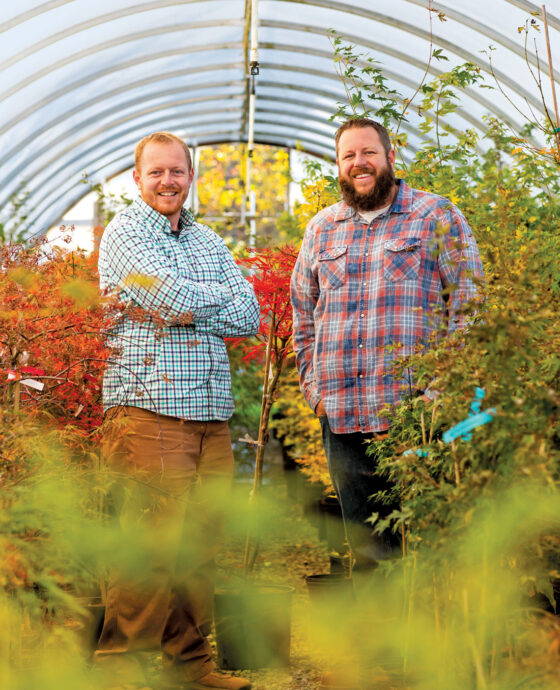 The Maple Brothers | Our State