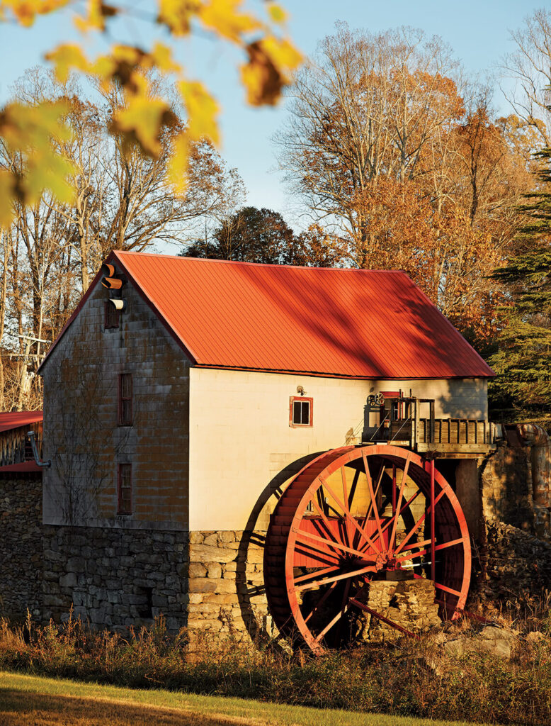 Carolina Corn: A Photo Essay | Our State
