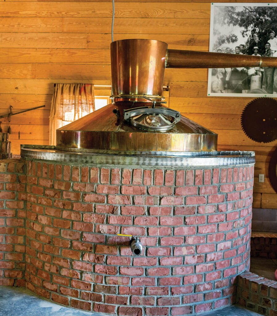 Carolina Corn: A Photo Essay | Our State
